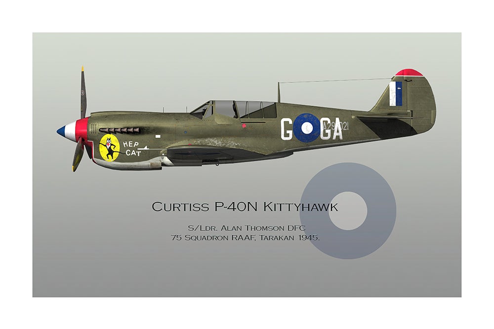 S/Ldr Alan Thomson DFC | Hangar 7 Art